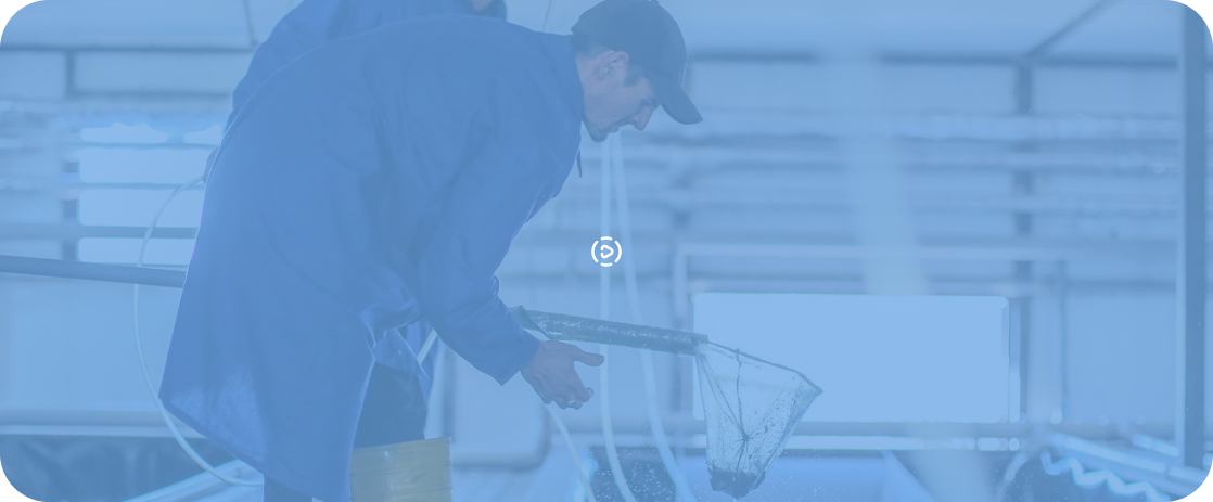 МОНИТОРИНГ РЫБ И ДРУГИХ ВОДНЫХ ЖИВОТНЫХ - МИНИСТЕРСТВО СЕЛЬСКОГО ...